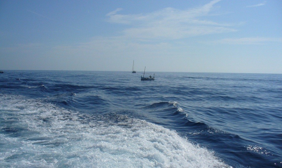 FOTOSÚŤAŽ Najkrajšie fotky leta: Tieto zábery získavajú fotoknihu ...
