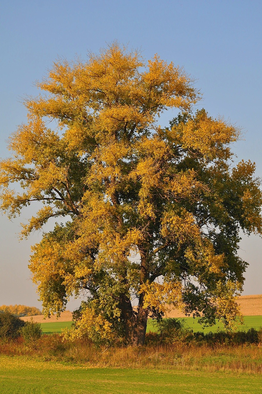 Farby jesene ovládli doliny aj hory: Nádherné Slovensko na vašich ...