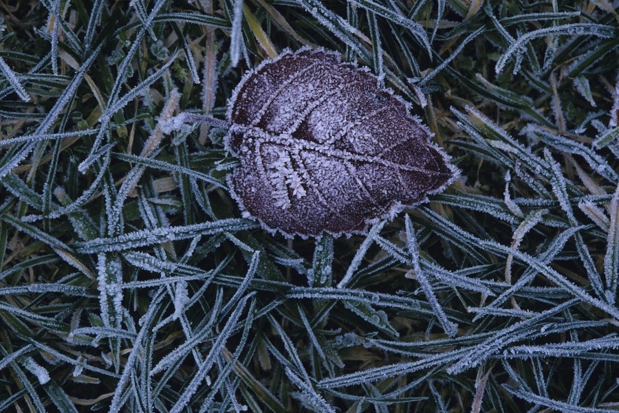 FOTOREPORTÁŽ Keď mráz ukáže svoje čary... – galéria | Topky.sk