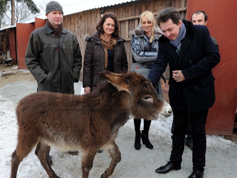 Najmladší poslanec Otto Brixi o Vianociach: Najviac ma potešia pletené ...