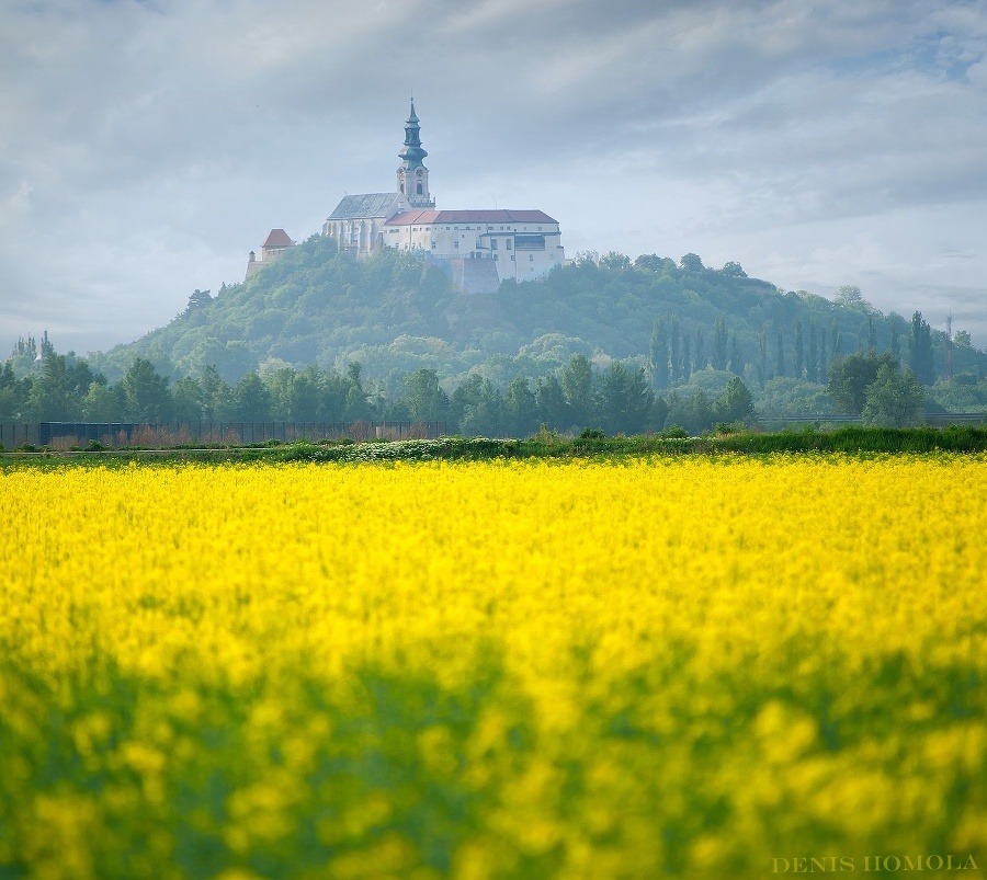 FOTOREPORTÁŽ Farebná jar ovládla celé Slovensko: Pozrite sa na to ...