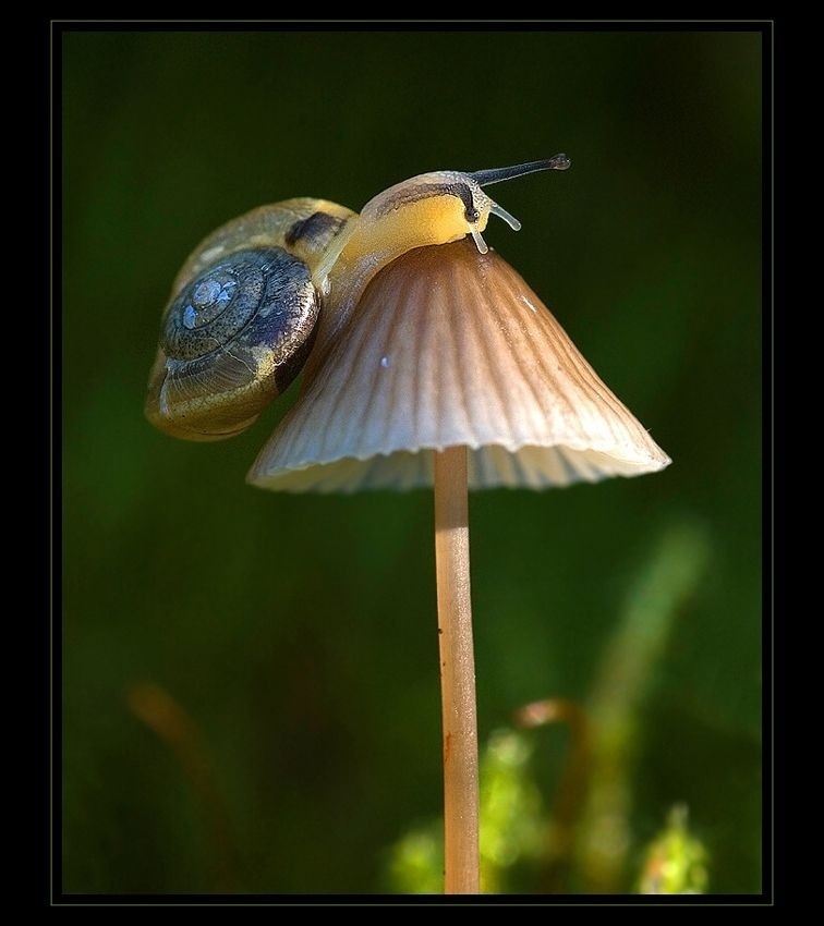 FOTOREPORTÁŽ Farebná jar ovládla celé Slovensko: Pozrite sa na to ...