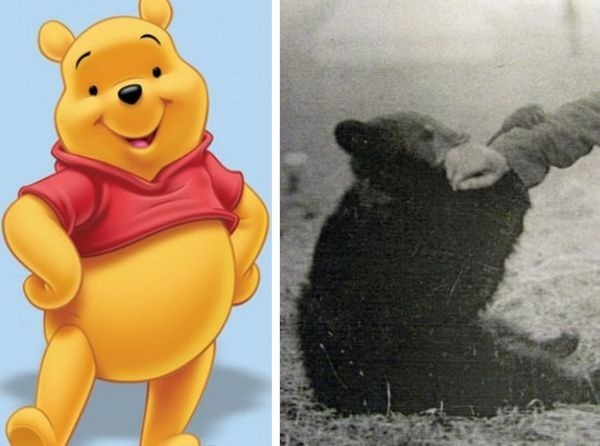 Medvedík Pú bol skutočný: Tu je jeho neuveriteľný životný príbeh ...