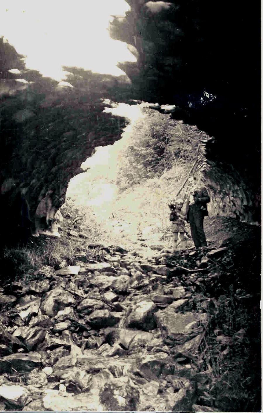 FOTO najväčšej slovenskej lavíny: Pád 600 000 ton snehu zázrakom ...