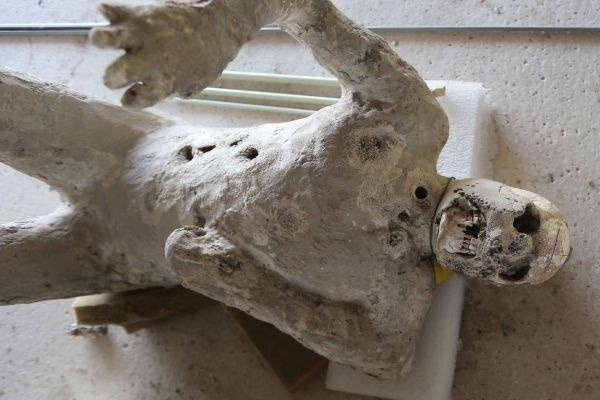 Archeológovia potvrdili unikátny fenomén: Výbuch Vezuvu zmenil mozog ...