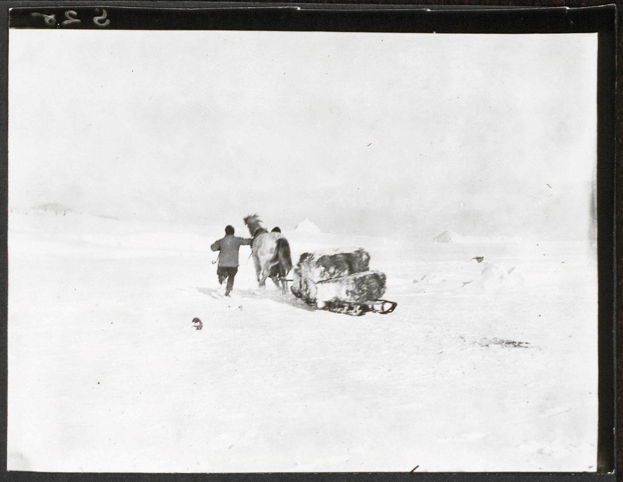 Tragická výprava na južný pól: Zlá správa po dosiahnutí ťažkého cieľa ...