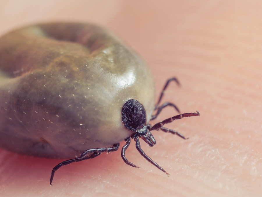 Ľudia s touto krvnou skupinou, majte sa na pozore: Ste najviac ohrození ...