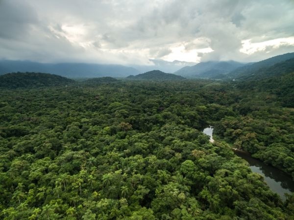Amazonský prales je na pokraji svojej existencie, varujú vedci: Z ich ...