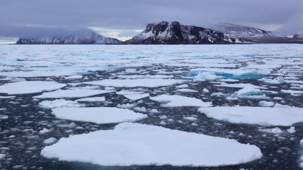 Vedci skúmali dno Severného ľadového oceánu: Ani vo sne nečakali, čo ...