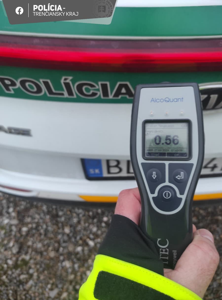 Vodič v Bolešove jazdil pod vplyvom alkoholu: Hrozí mu väzenie ...