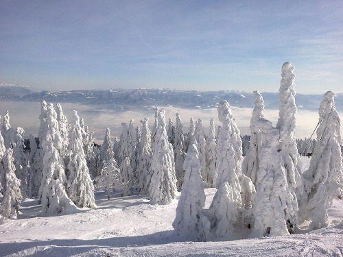 Zima 2012: "Lajkujte" najkrajšie zimné zábery 2 – galéria | Topky.sk