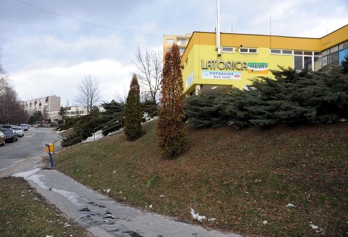 V Košiciach utiekol obrovský škrtič: Vystrašil deti pri základnej škole ...