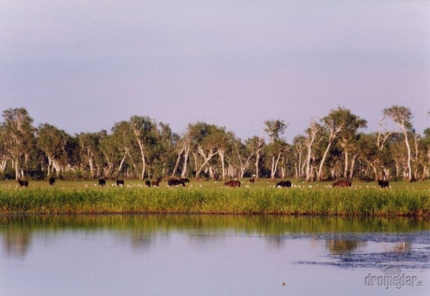 Národný park Kakadu v Austrálii nadchýna tisíce návštevníkov | Dromedár.sk