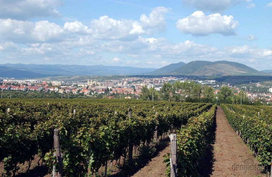 FOTOSÚŤAŽ Príroda v Maďarsku | Dromedár.sk