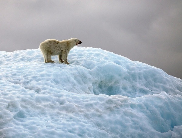 Najväčší ľadoborec sveta pláva na Severný pól: Na palube môžete byť aj ...