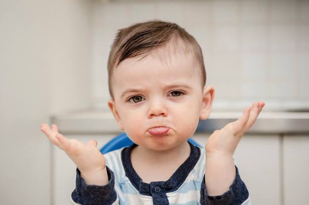 Blééé - foto dňa | Špuntík.sk