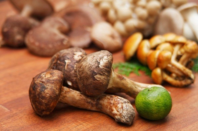 Huby obsahujú množstvo zdraviu prospešných látok – obrázky | Vyšetrenie.sk