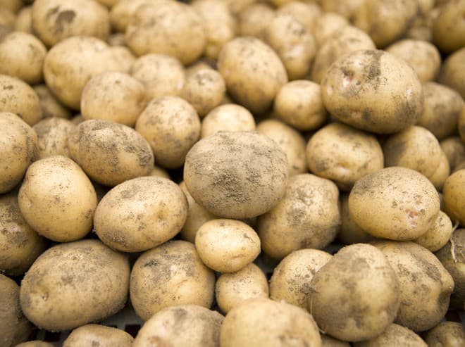 obrázky | Vyšetrenie.sk