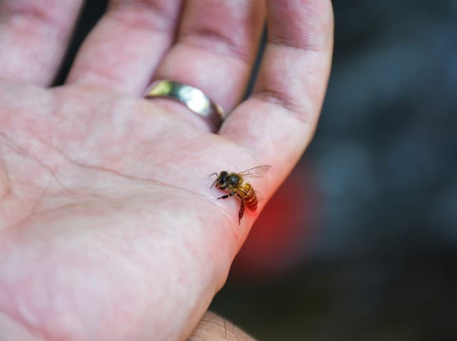 obrázky | Vyšetrenie.sk
